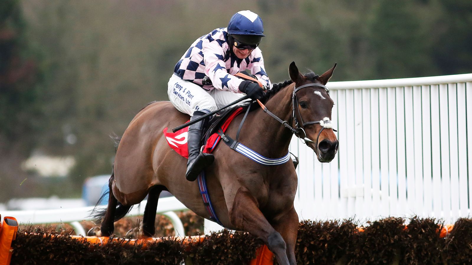 Fred Winter favoured for Akavit | Racing News | Sky Sports