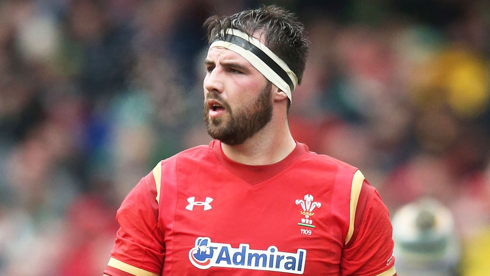 Ospreys hooker Scott Baldwin bitten by lion in South Africa | Rugby ...