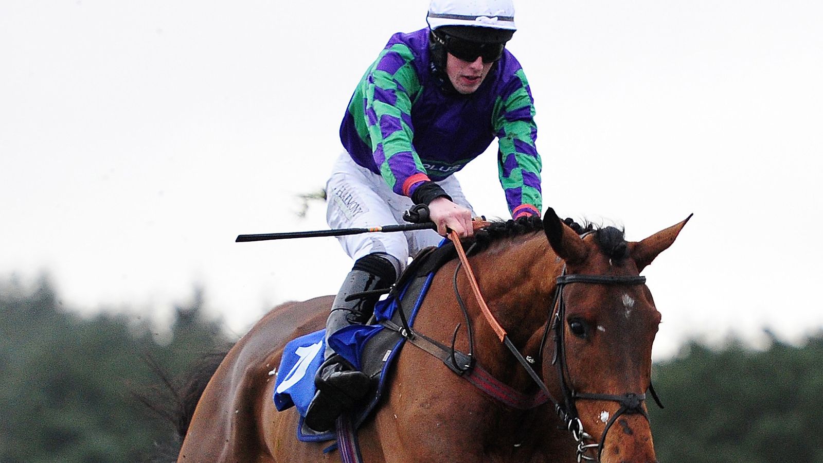 Carlisle double for in-form Nigel Hawke | Racing News | Sky Sports