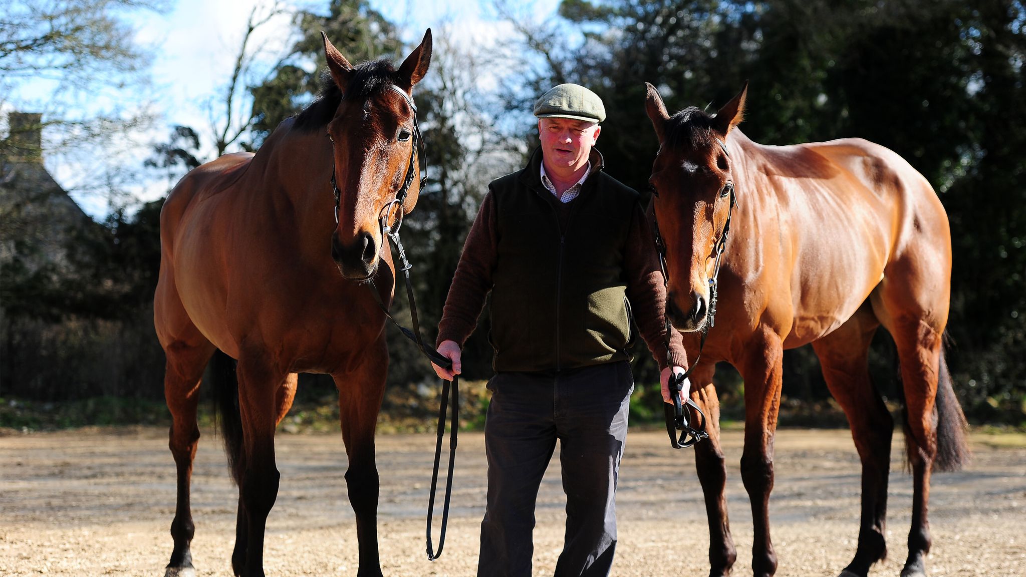 Colin Tizzard readies exciting squad for 2017-18 | Racing News | Sky Sports