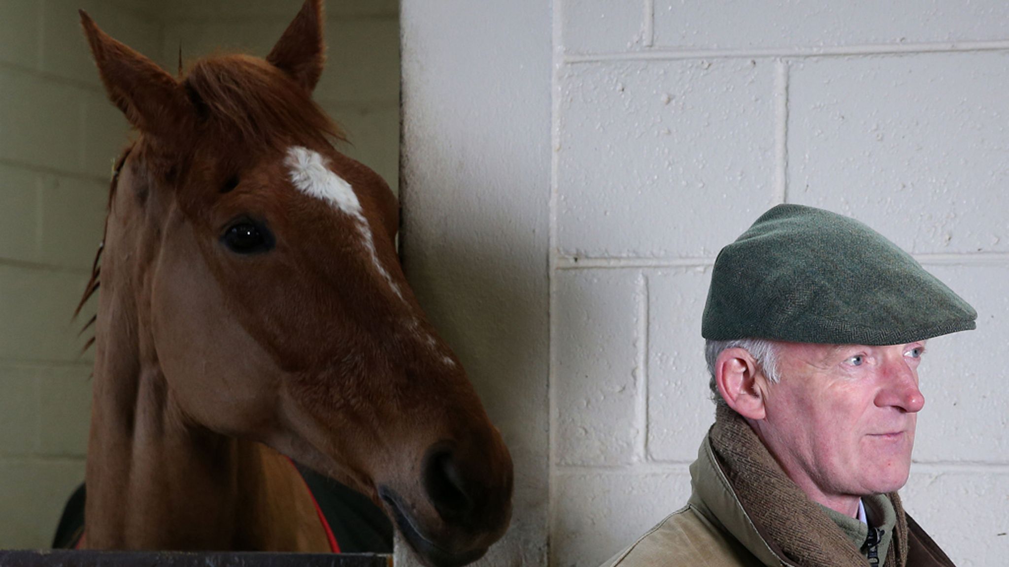 Annie Power may be supplemented for Champion Hurdle at Cheltenham ...