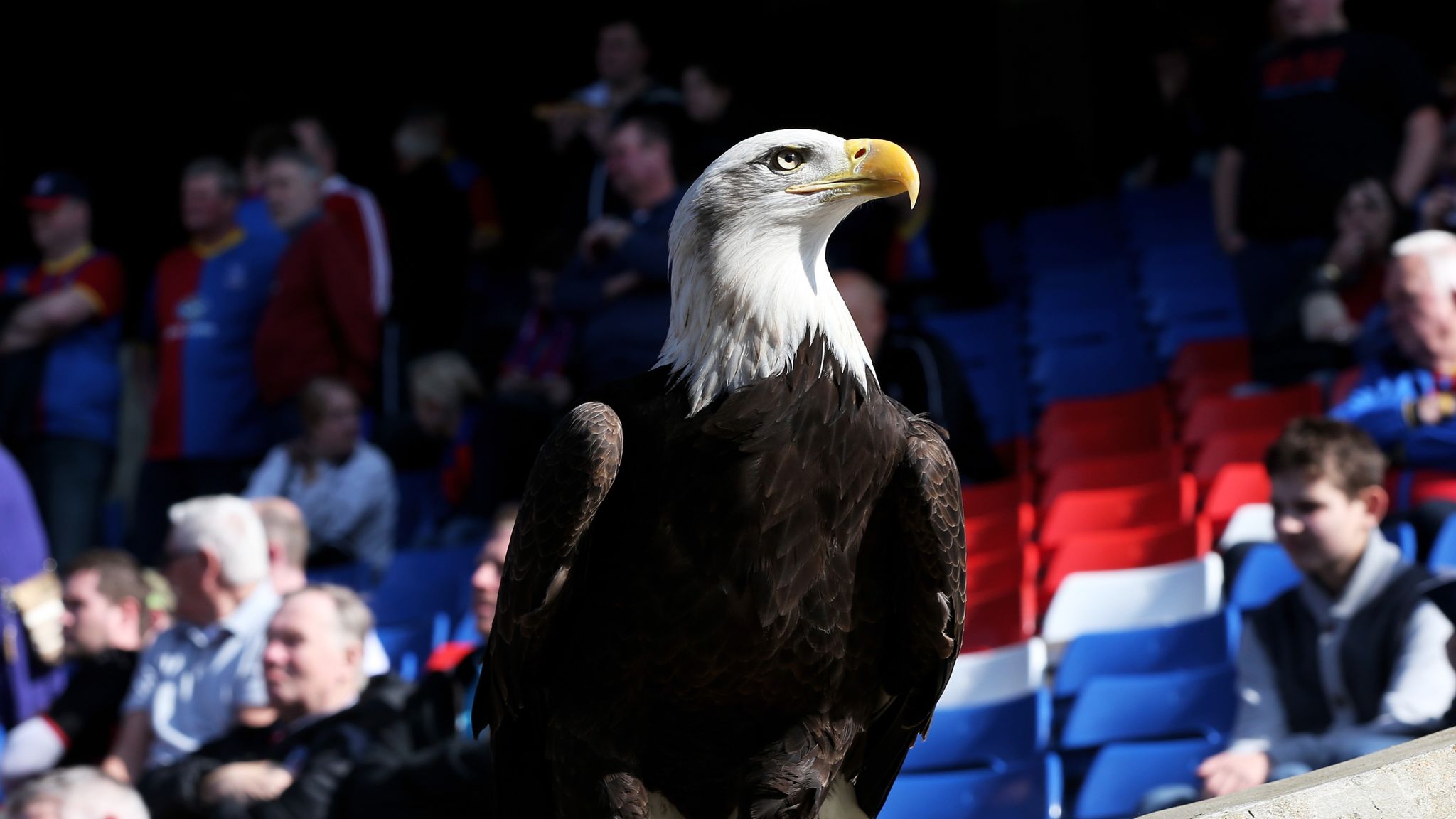 Man to appear in court in March over attempted punch on Crystal Palace ...