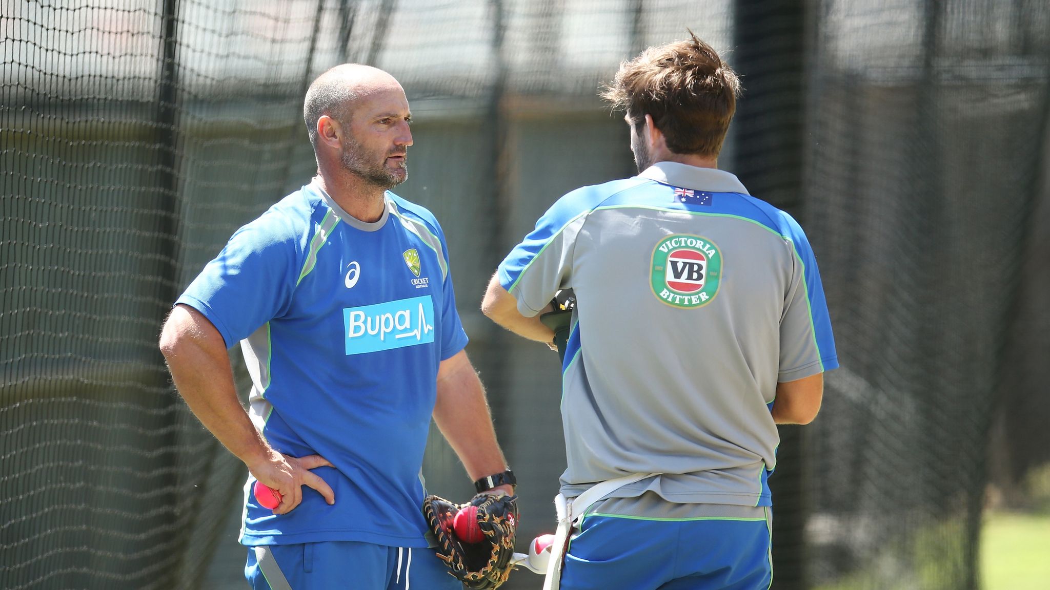 Michael Di Venuto appointed as Surrey's new head coach | Cricket News ...