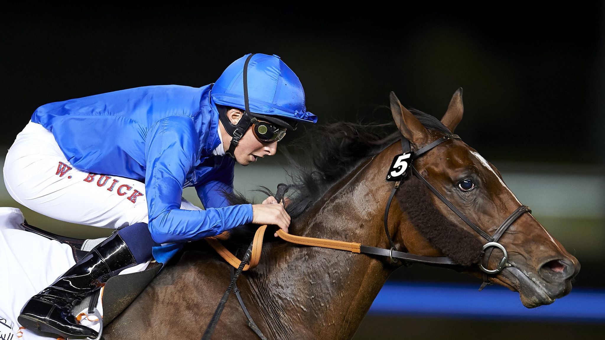 Juddmonte International target at York for Tryster | Racing News | Sky ...