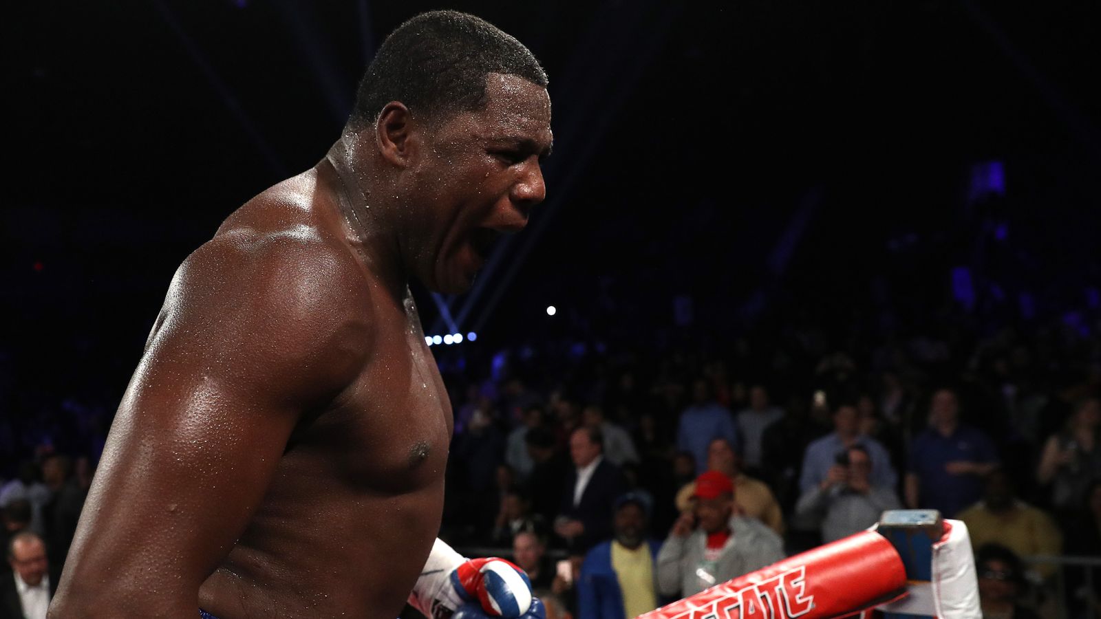 Luis Ortiz is still unbeaten after knocking out Tony Thompson | Boxing ...