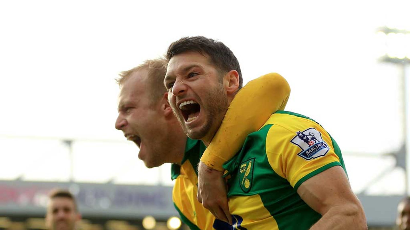 Norwich trio Wes Hoolahan, Alex Tettey and Michael Turner extend deals ...