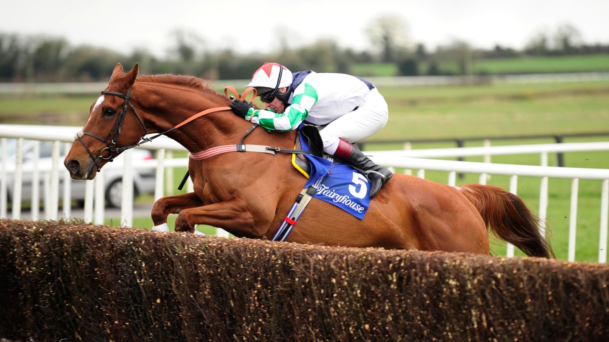 Kerry Lee and Ben Pauling aim for first Punchestown Festival winners ...