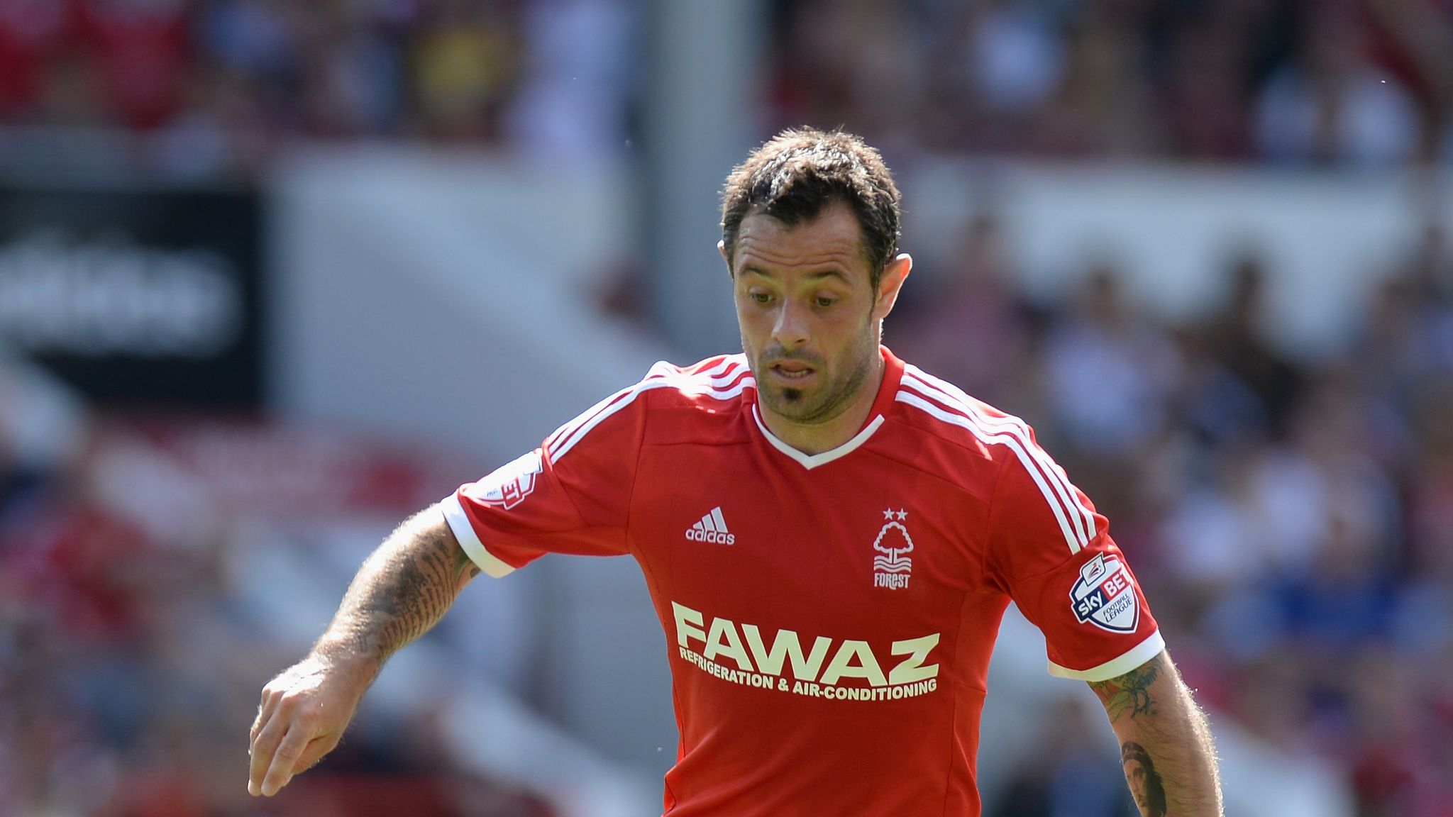 Andy Reid happy to help out interim Nottingham Forest boss Paul ...