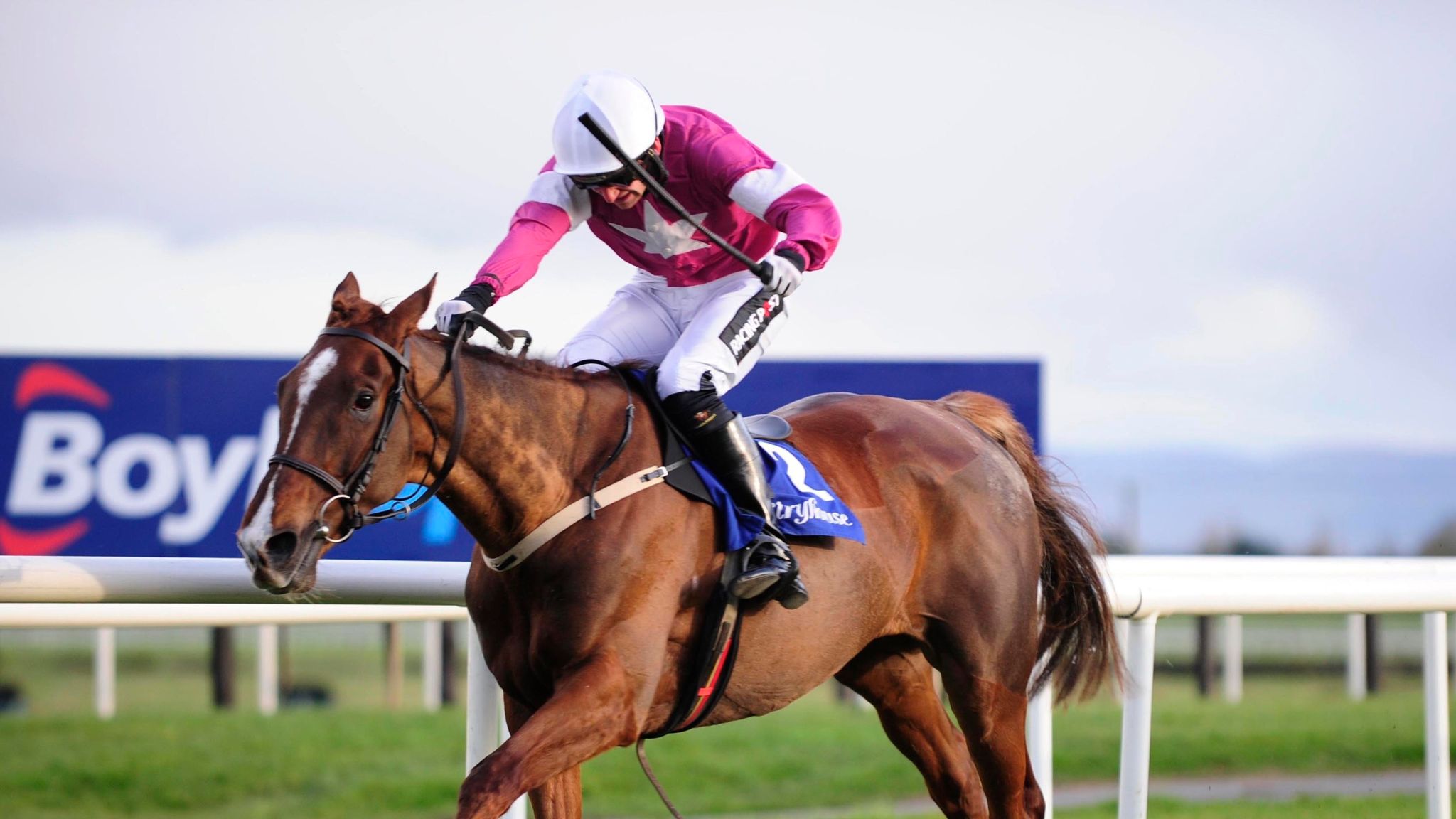 Blow By Blow wins the Martin Pipe Handicap Hurdle at Cheltenham ...