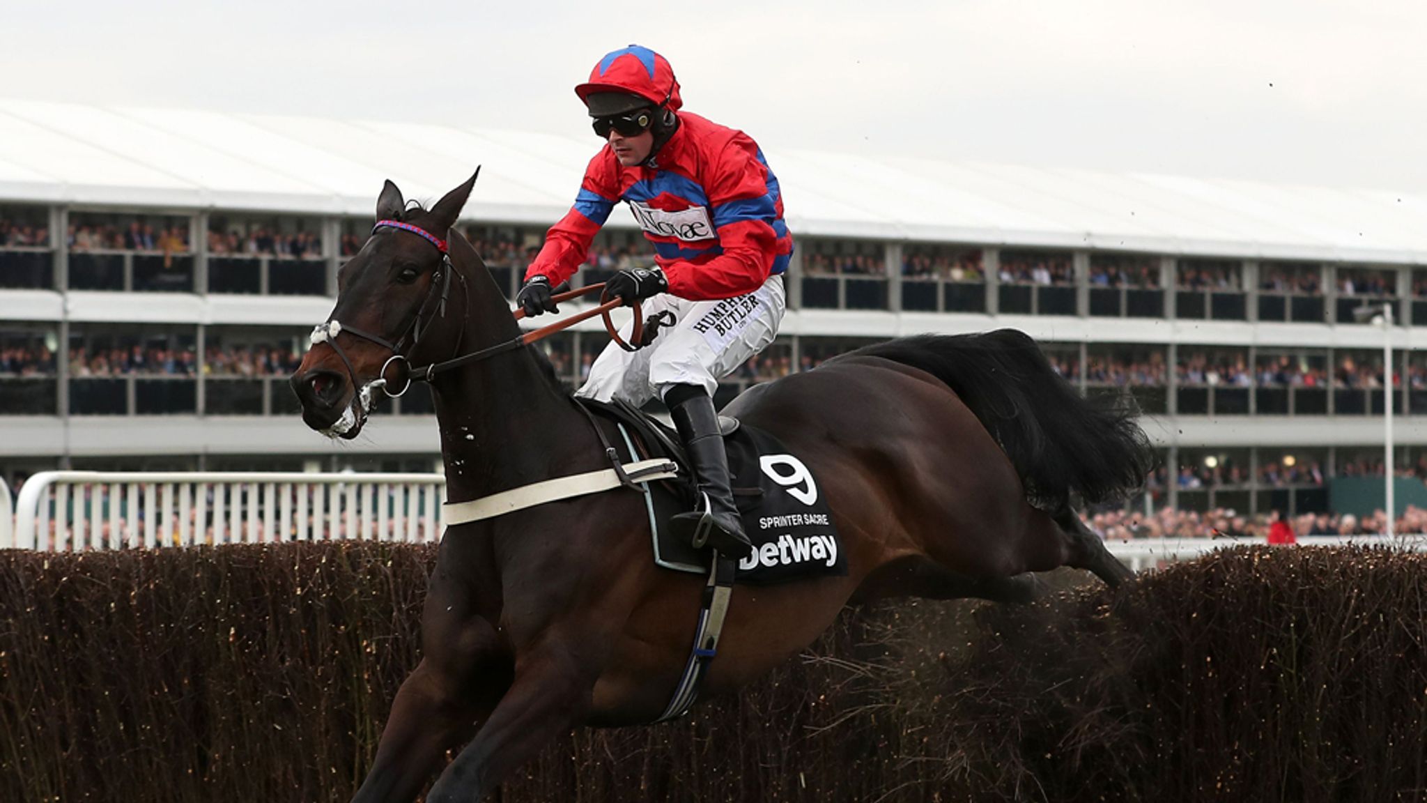 Sandown run not out of the question for Sprinter Sacre | Racing News ...