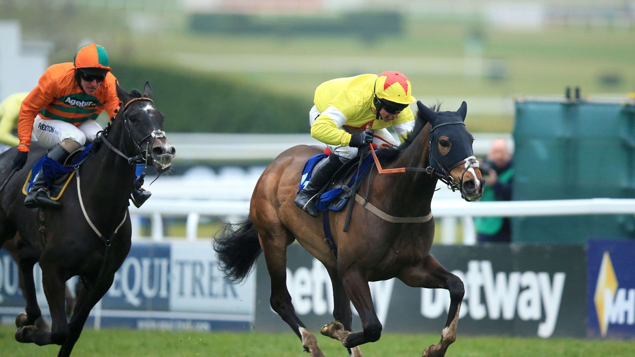 John Hales harbours Cheltenham Festival hopes for Ibis Du Rheu | Racing ...
