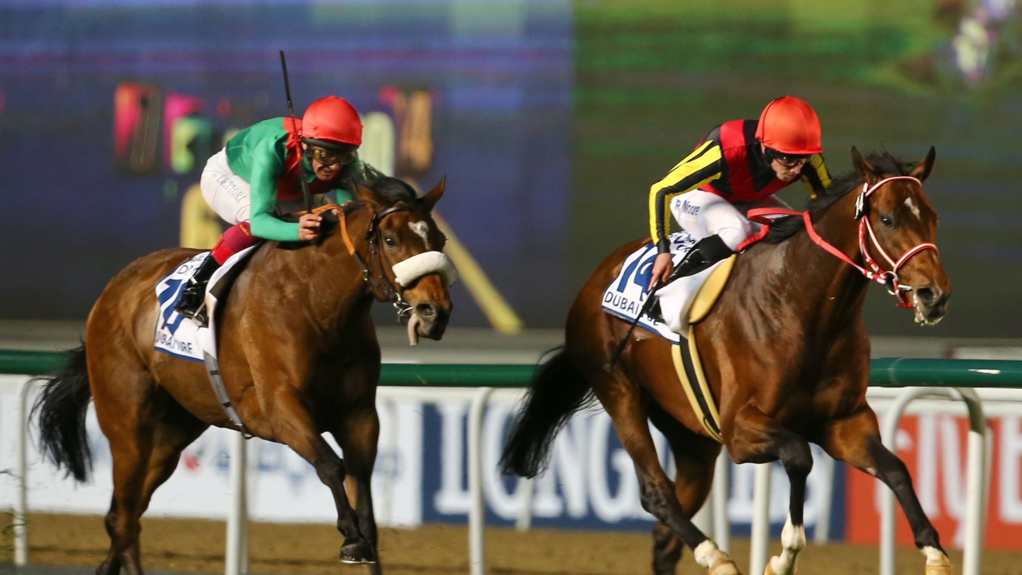All the best photos from Dubai World Cup night at Meydan | Racing News ...