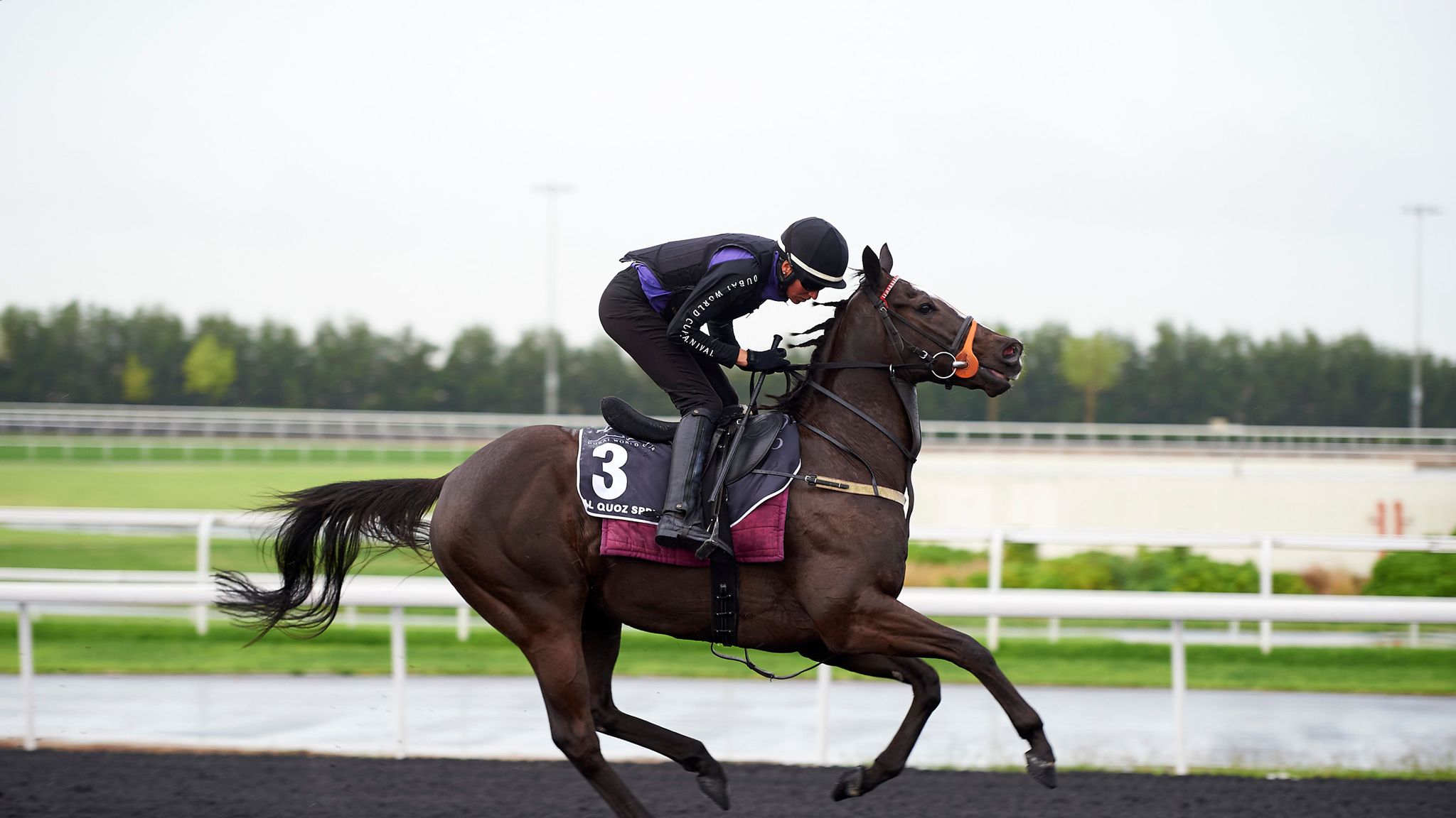 Sole Power and Muthmir target Dubai World Cup night glory | Racing News ...