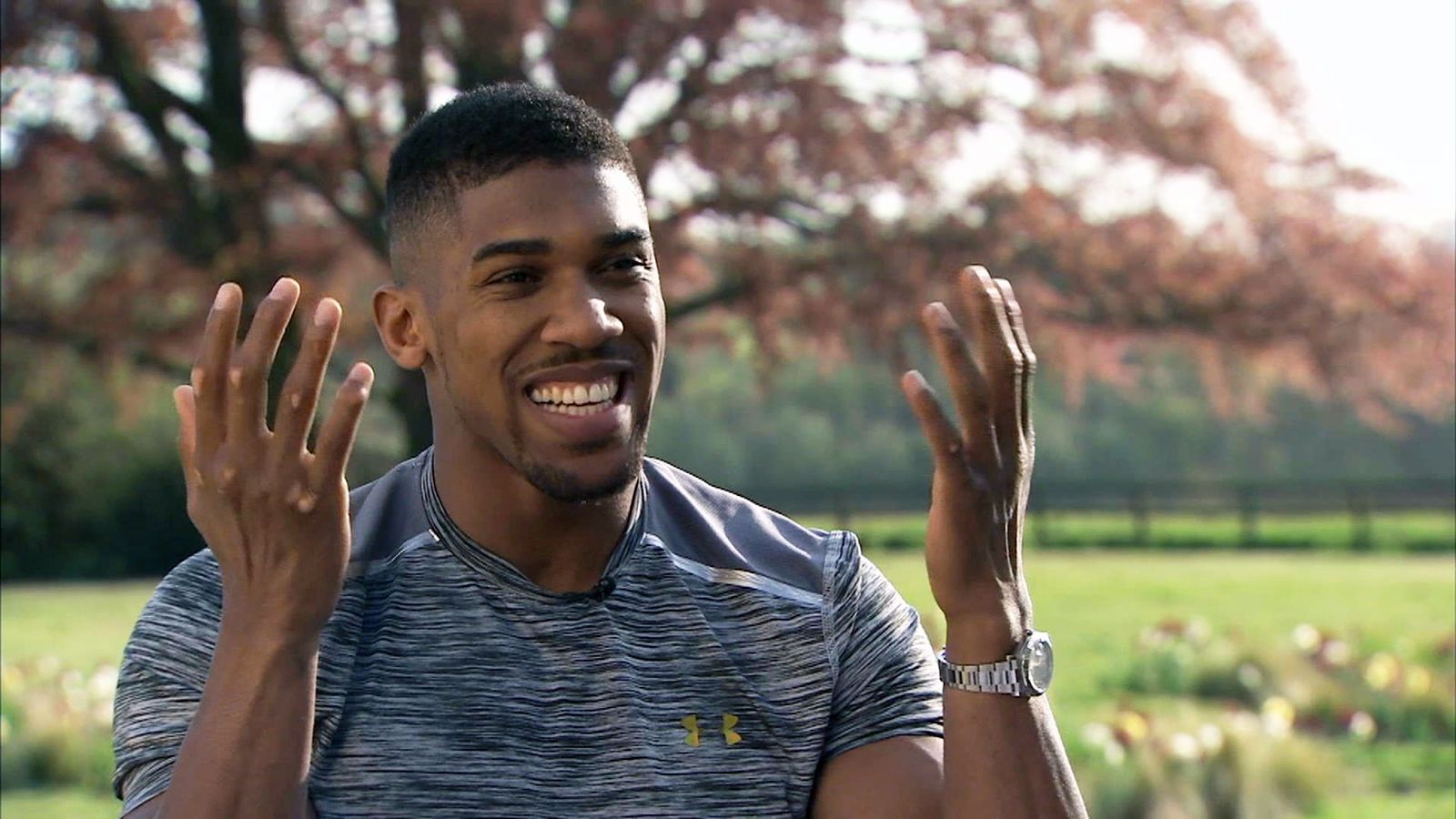 Joshua vs Breazeale: Joshua fears spiders more than rivals | Boxing ...