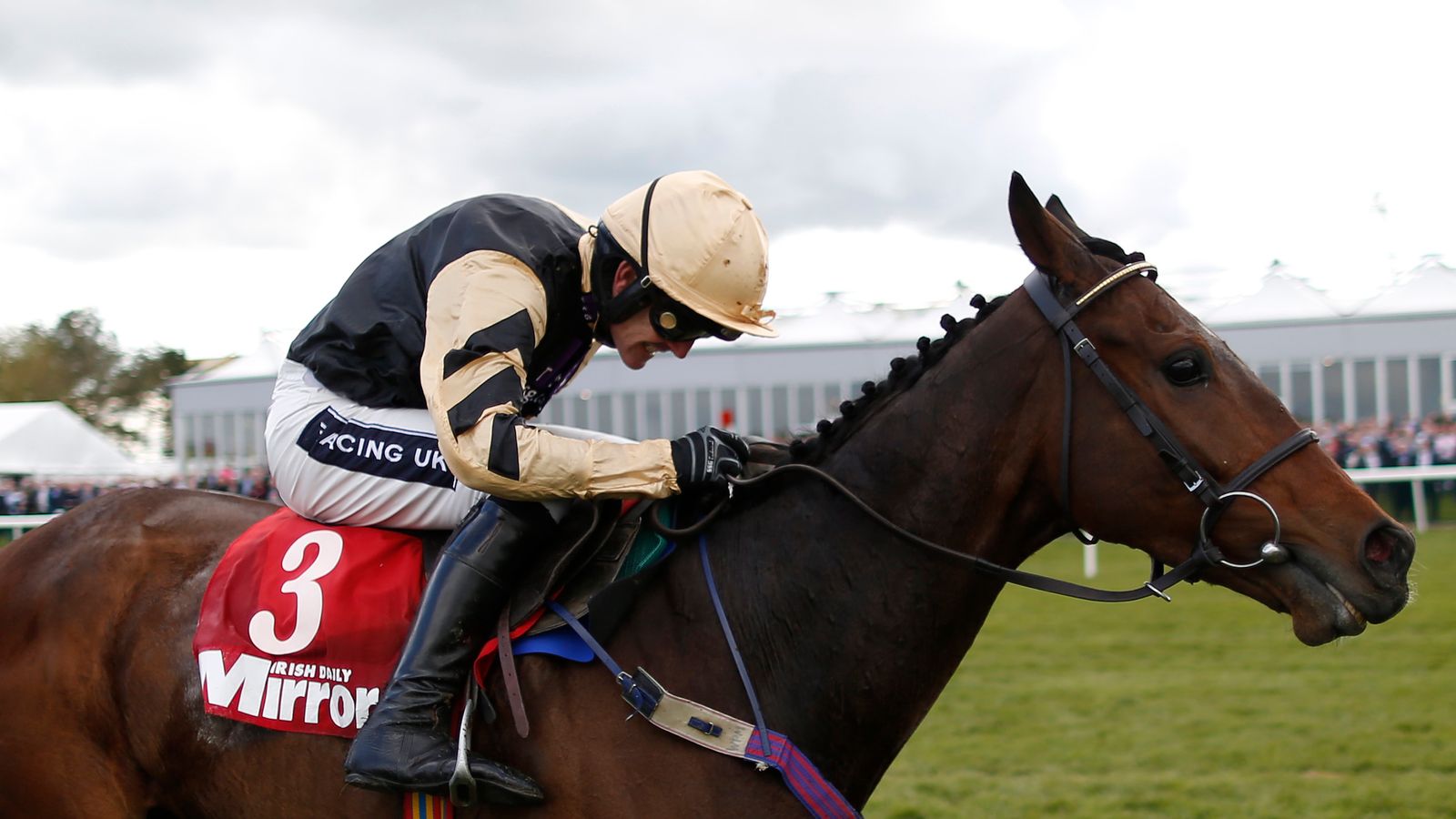 Bellshill makes return in Bobbyjo Chase at Fairyhouse | Racing News ...