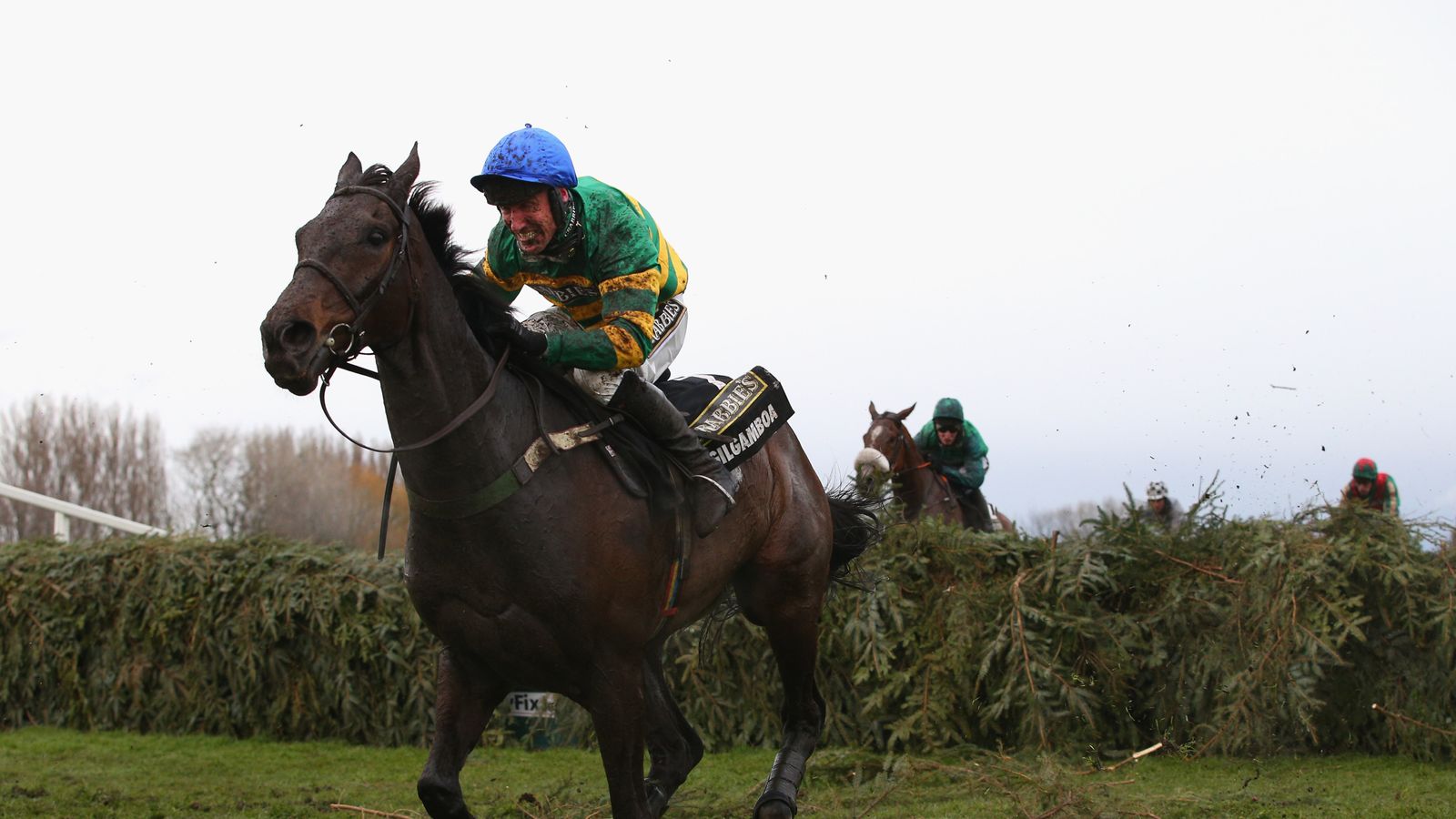 Gilgamboa Grand National run delights Enda Bolger | Racing News | Sky ...