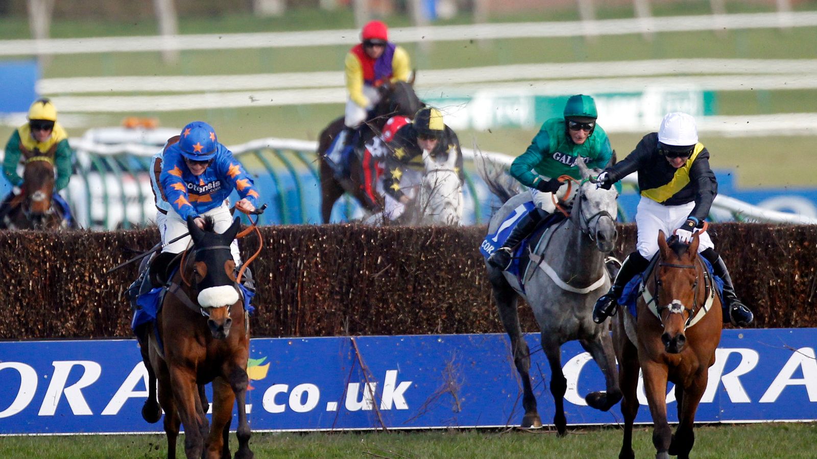 Sandy Thomson feels Seeyouatmidnight may find life tough next season ...