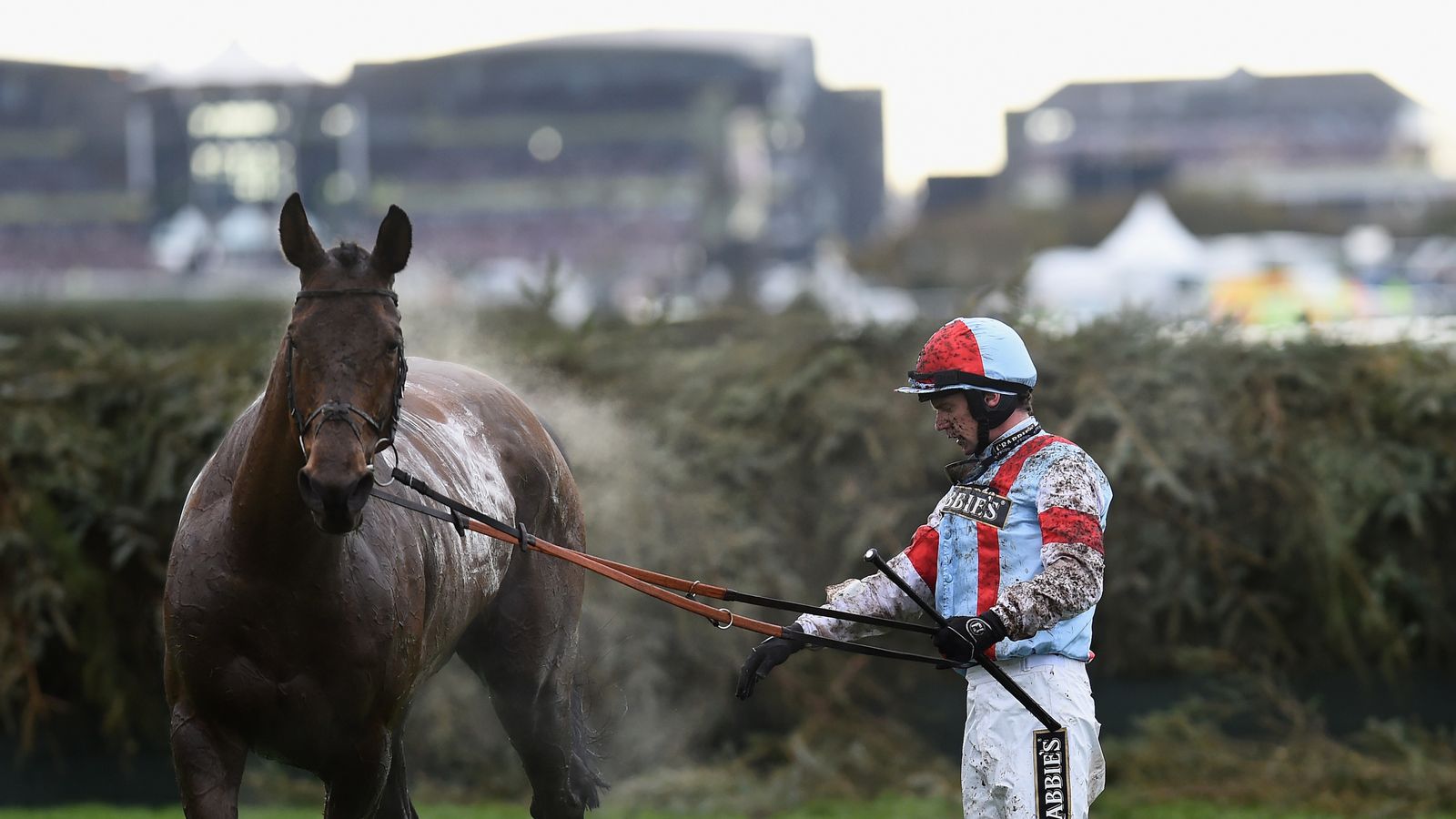 All 39 Crabbie's Grand National horses and jockeys return safely ...