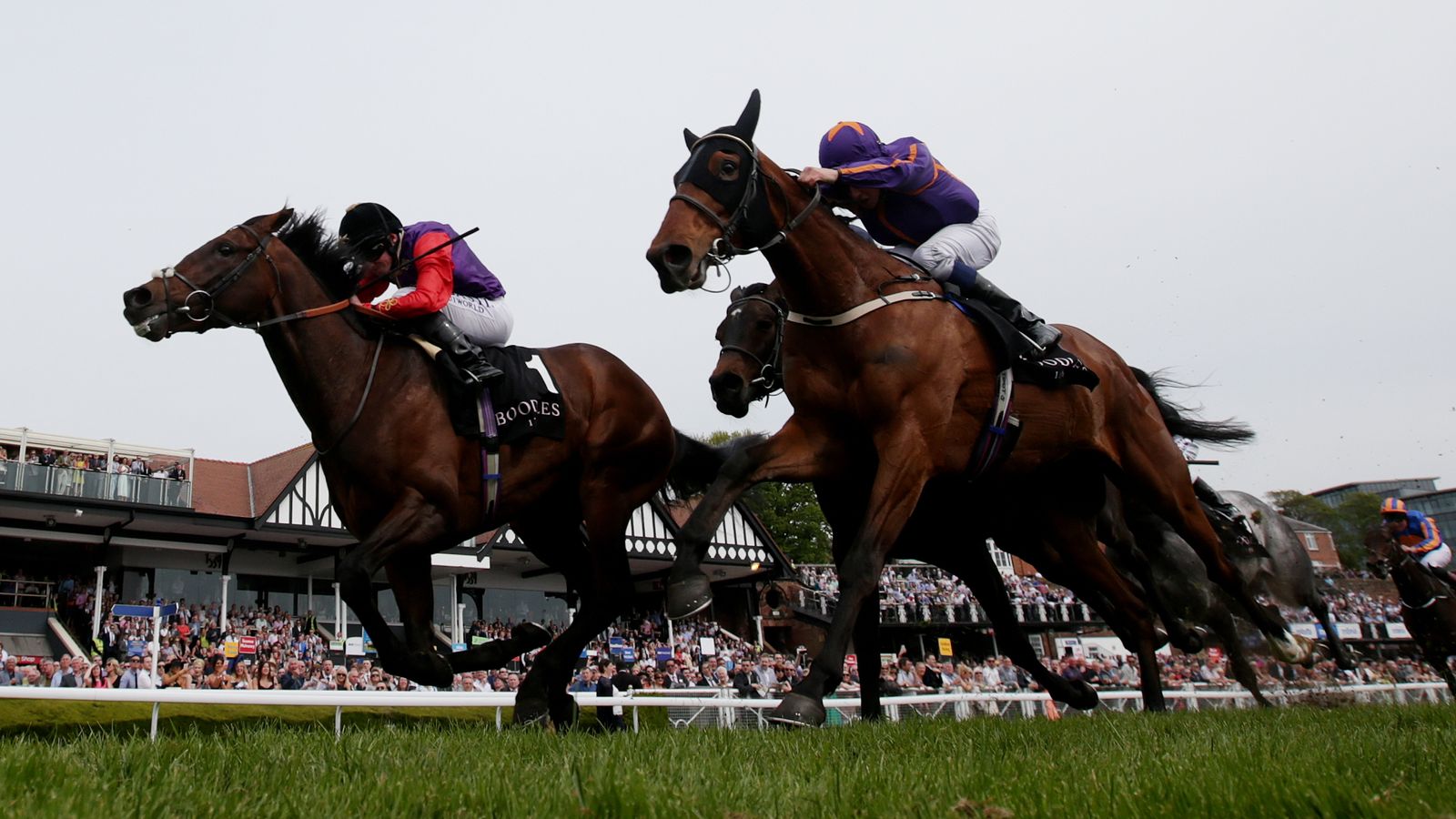 Wicklow Brave has Melbourne Cup option | Racing News | Sky Sports