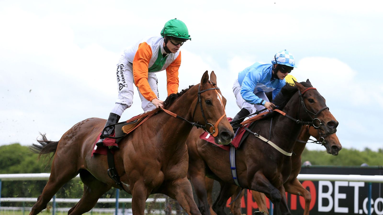 Rae Guest's plan for Jane's Memory | Racing News | Sky Sports