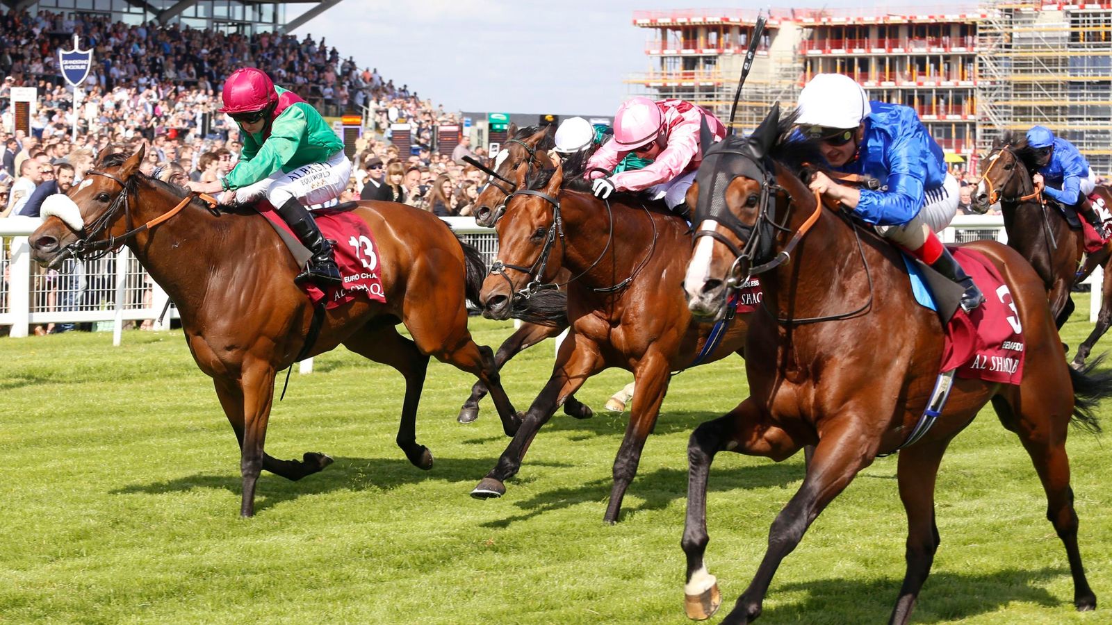 Belardo retired to stud after setback in QEII build up | Racing News ...