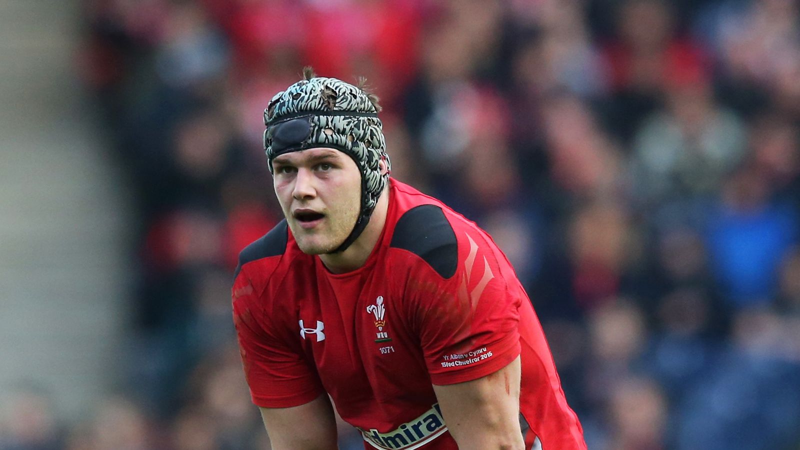 Wales flanker Dan Lydiate ruled out for rest of the season | Rugby ...