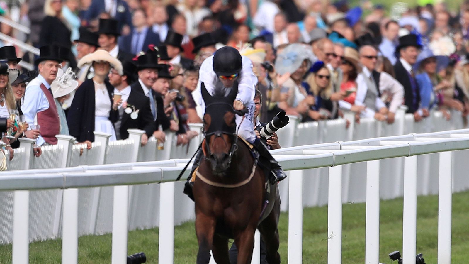 Royal Ascot winner Defrocked has been sold to race in Hong Kong ...