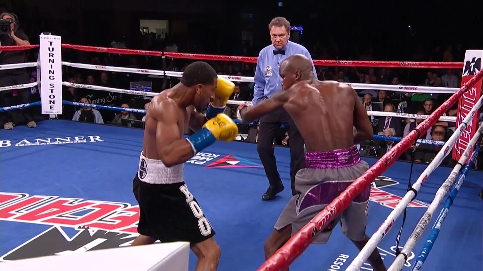 Demetrius Andrade puts Willie Nelson down four times to win WBC ...