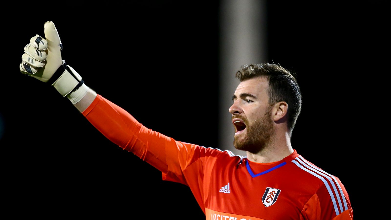 Wolves complete transfer of 'keeper Andy Lonergan from Fulham ...