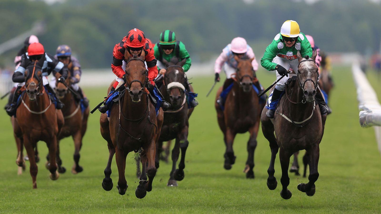 Emily Easterby tastes York success | Racing News | Sky Sports