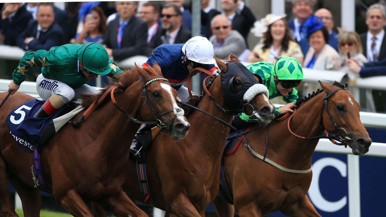 Roger Charlton runs Decorated Knight in the ICON Meld Stakes at ...