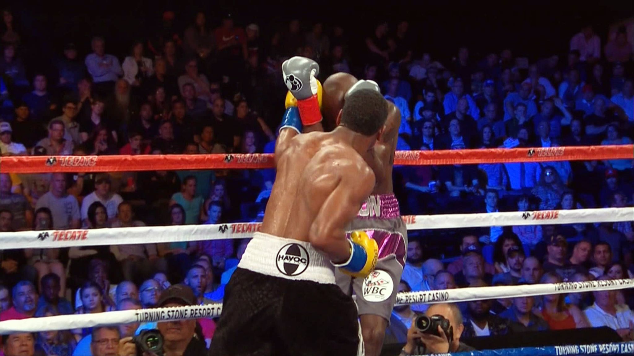 Demetrius Andrade puts Willie Nelson down four times to win WBC ...