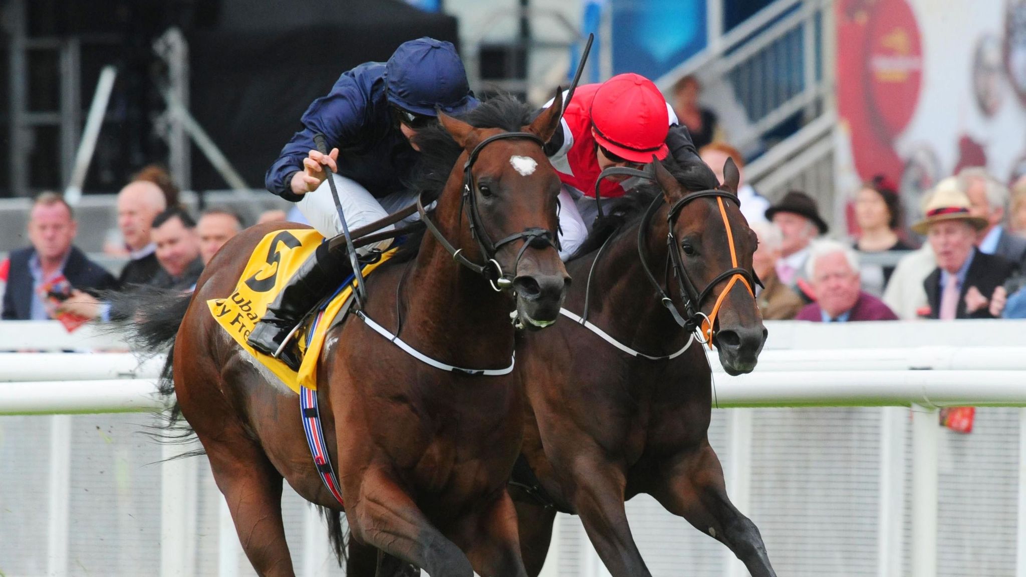 Intelligence Cross looks smart prospect at the Curragh | Racing News ...