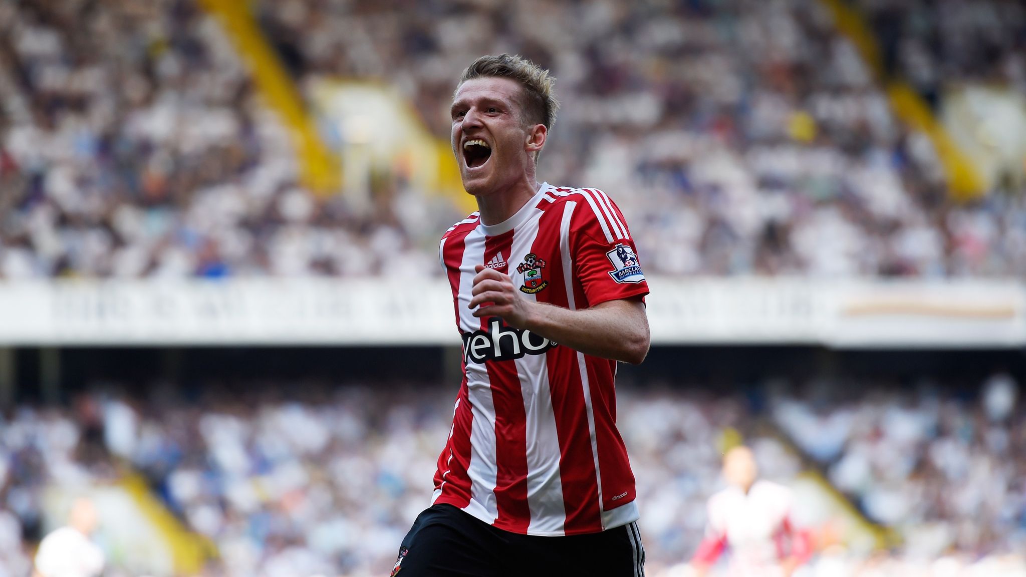Northern Ireland's Steven Davis one of the Premier League’s best, says ...