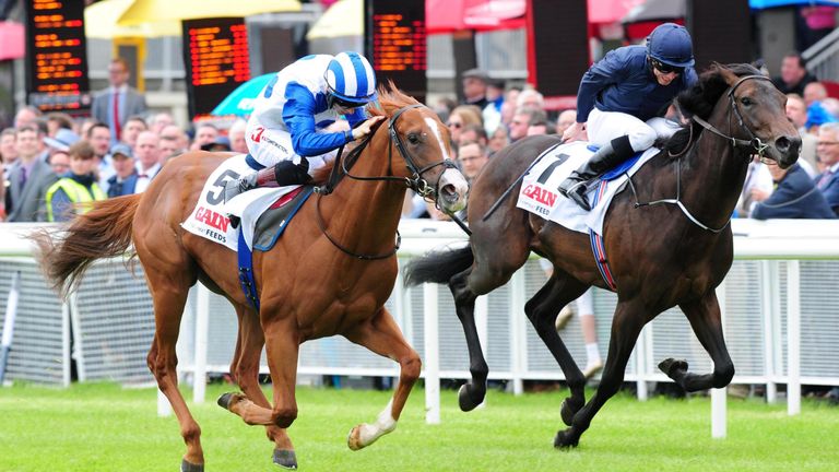 Peace Envoy's Naas mission in Tetrarch Stakes | Racing News | Sky Sports