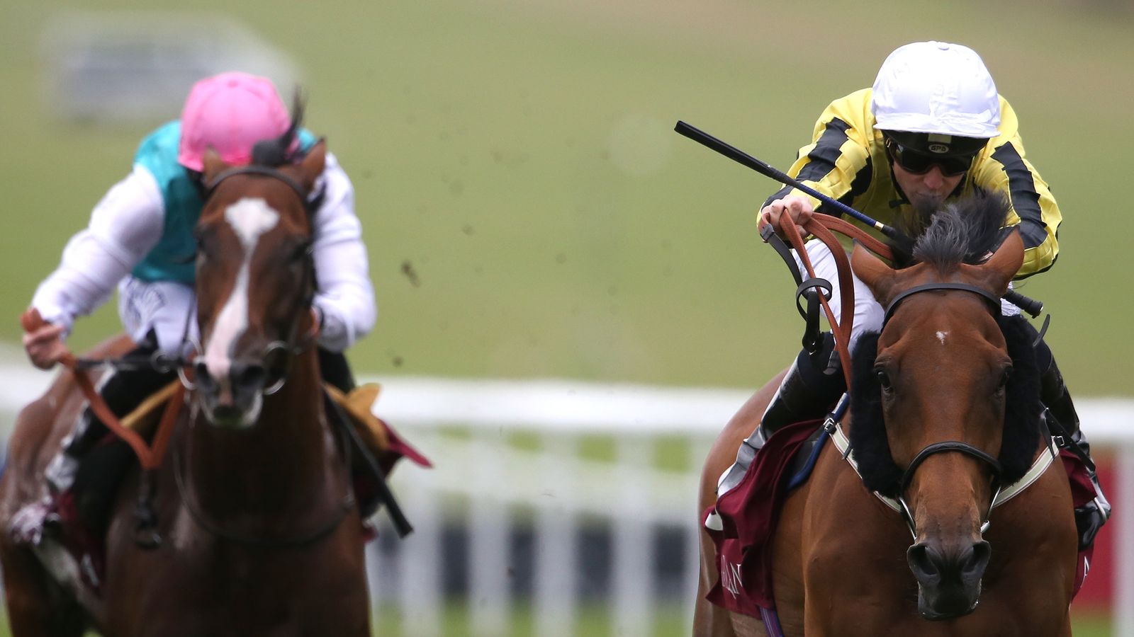 Weatherbys Hamilton announces new bonus for Flat stayers | Racing News ...