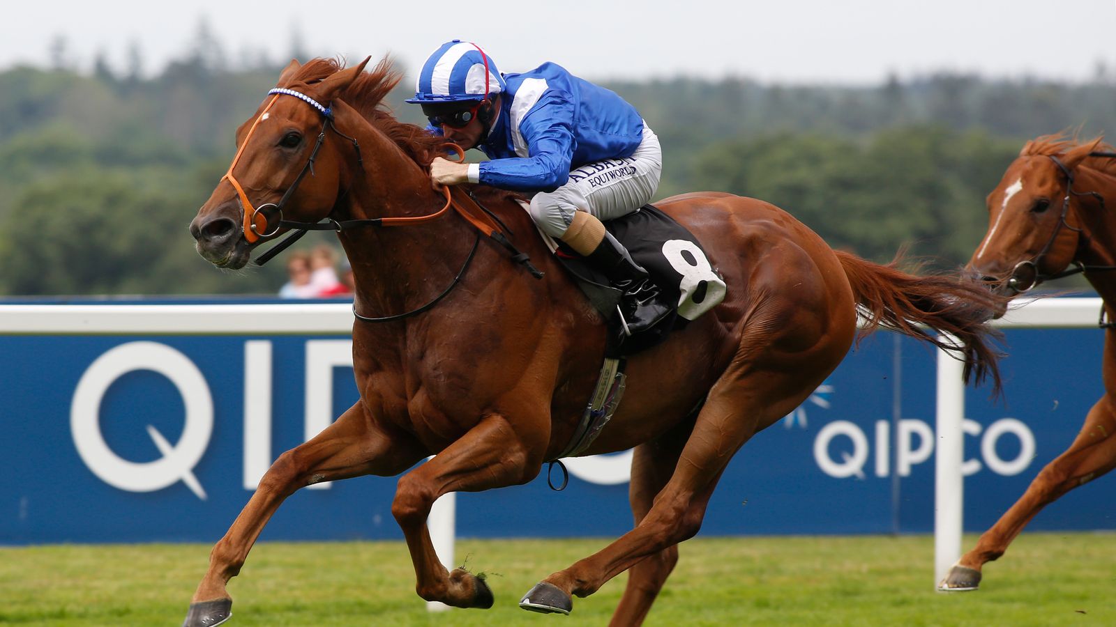 Mutakayyef doubles up in Summer Mile | Racing News | Sky Sports