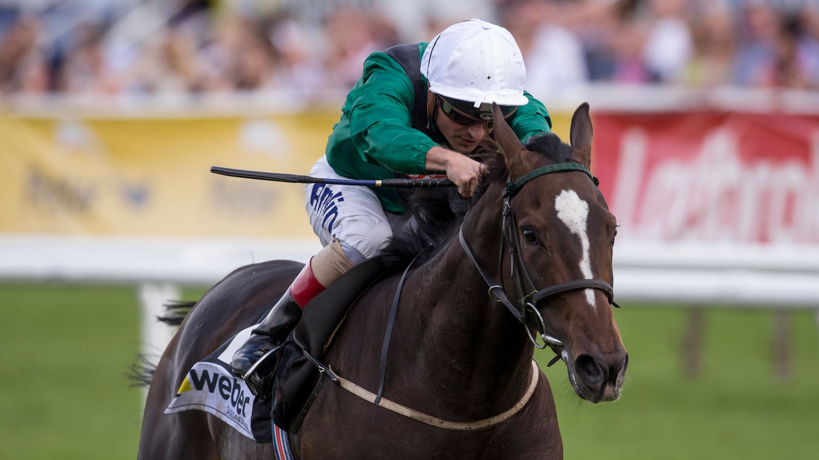 Henry Candy sets sights on Chantilly with Limato | Racing News | Sky Sports