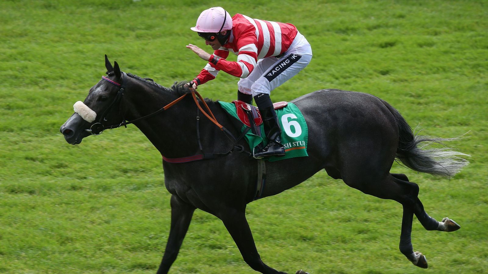Michael Dods to run Easton Angel and Mecca's Angel in Nunthorpe at York ...