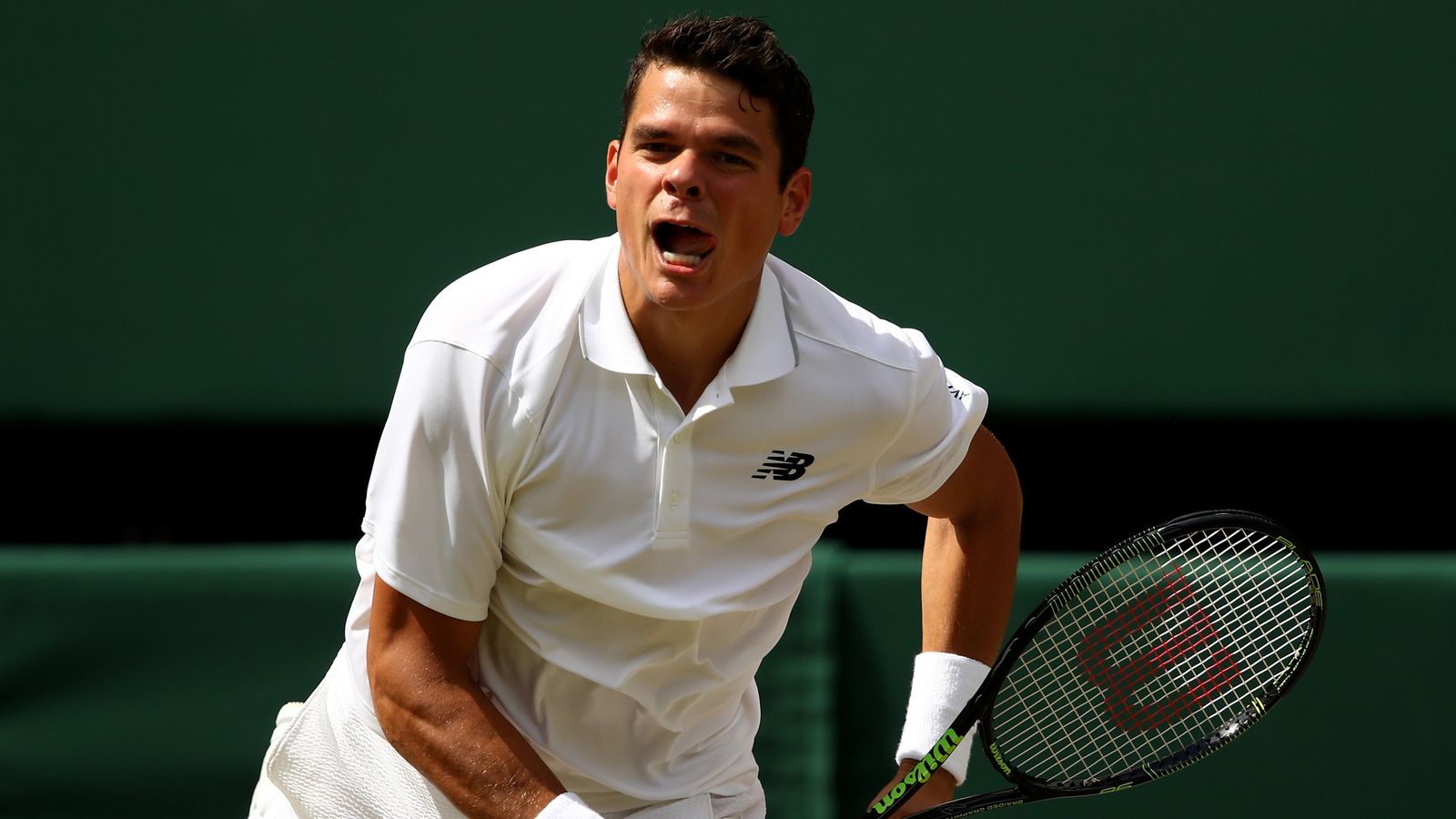 Milos Raonic and Simona Halep withdraw from Olympics over Zika fears ...
