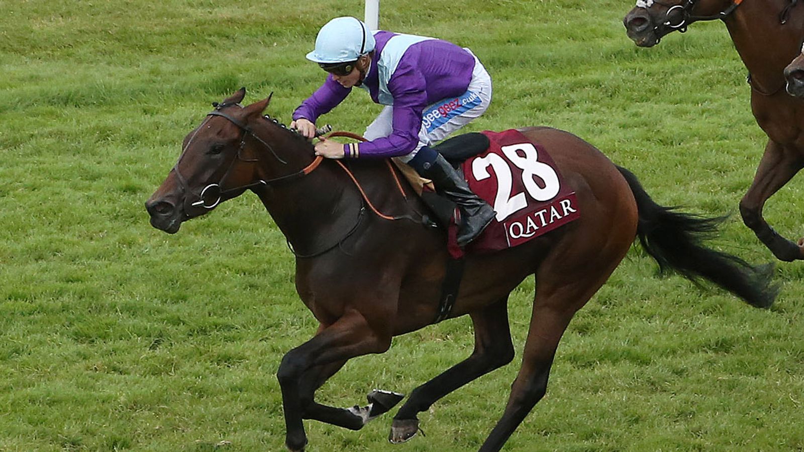 Gallops Report: Andrew Balding | Racing News | Sky Sports