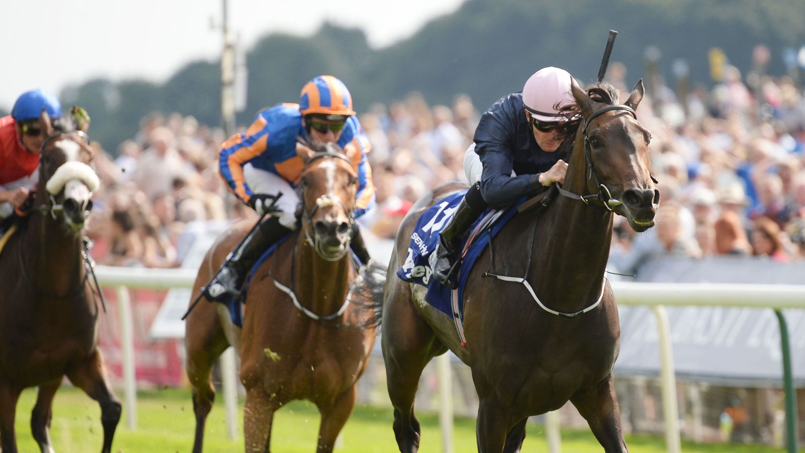 Ebor Eyecatchers | Racing News | Sky Sports