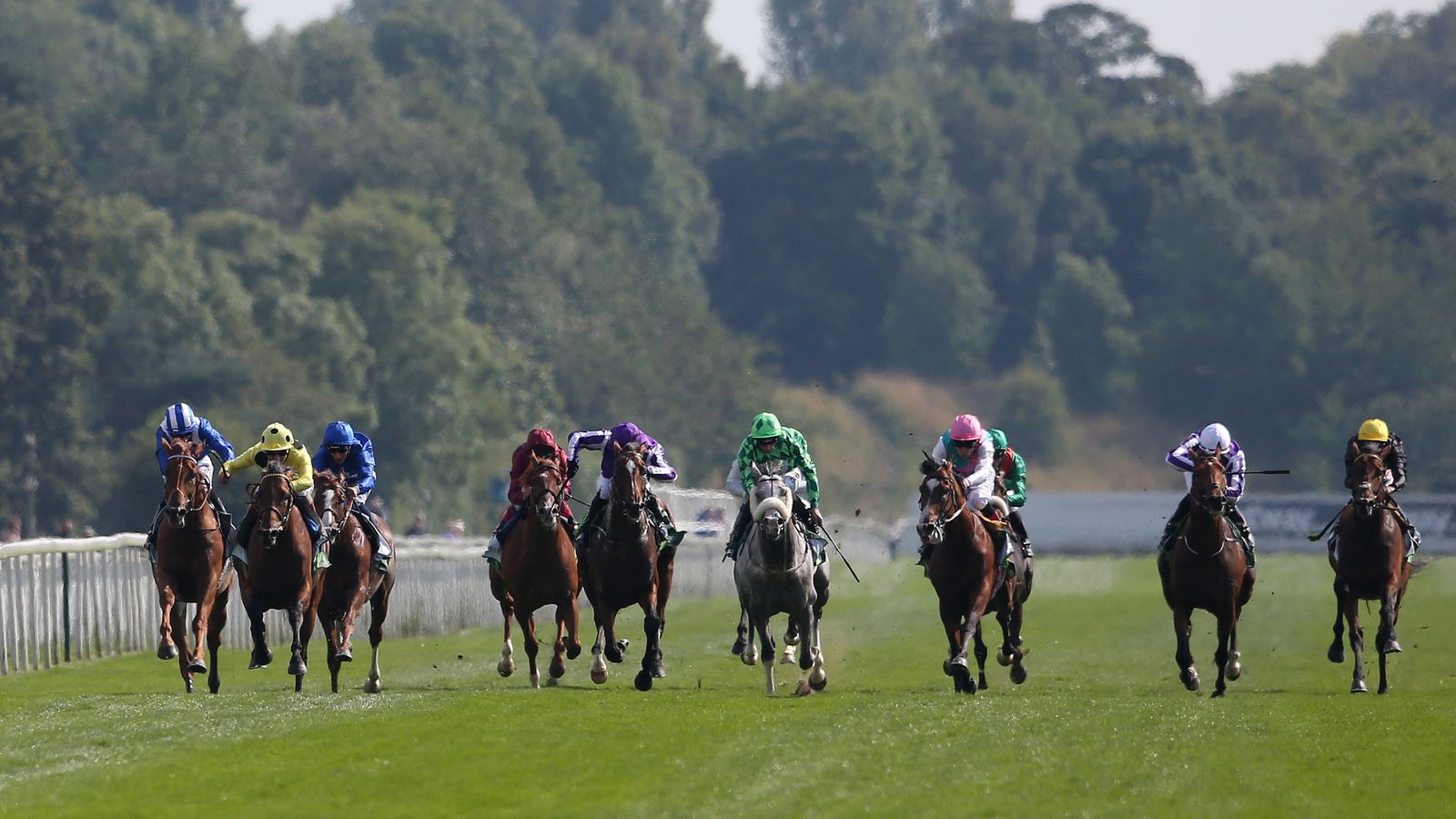 Scarlet Dragon out to fire in John Smith's Cup at York | Racing News ...