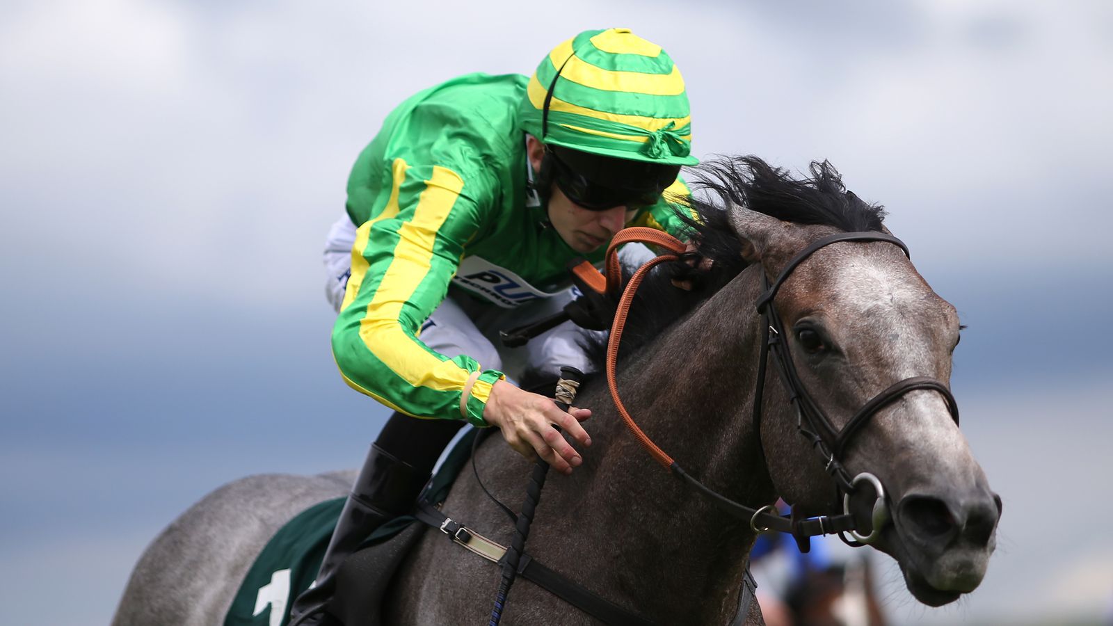 Trainer Jonathan Portman still puzzled by star Mrs Danvers | Racing ...