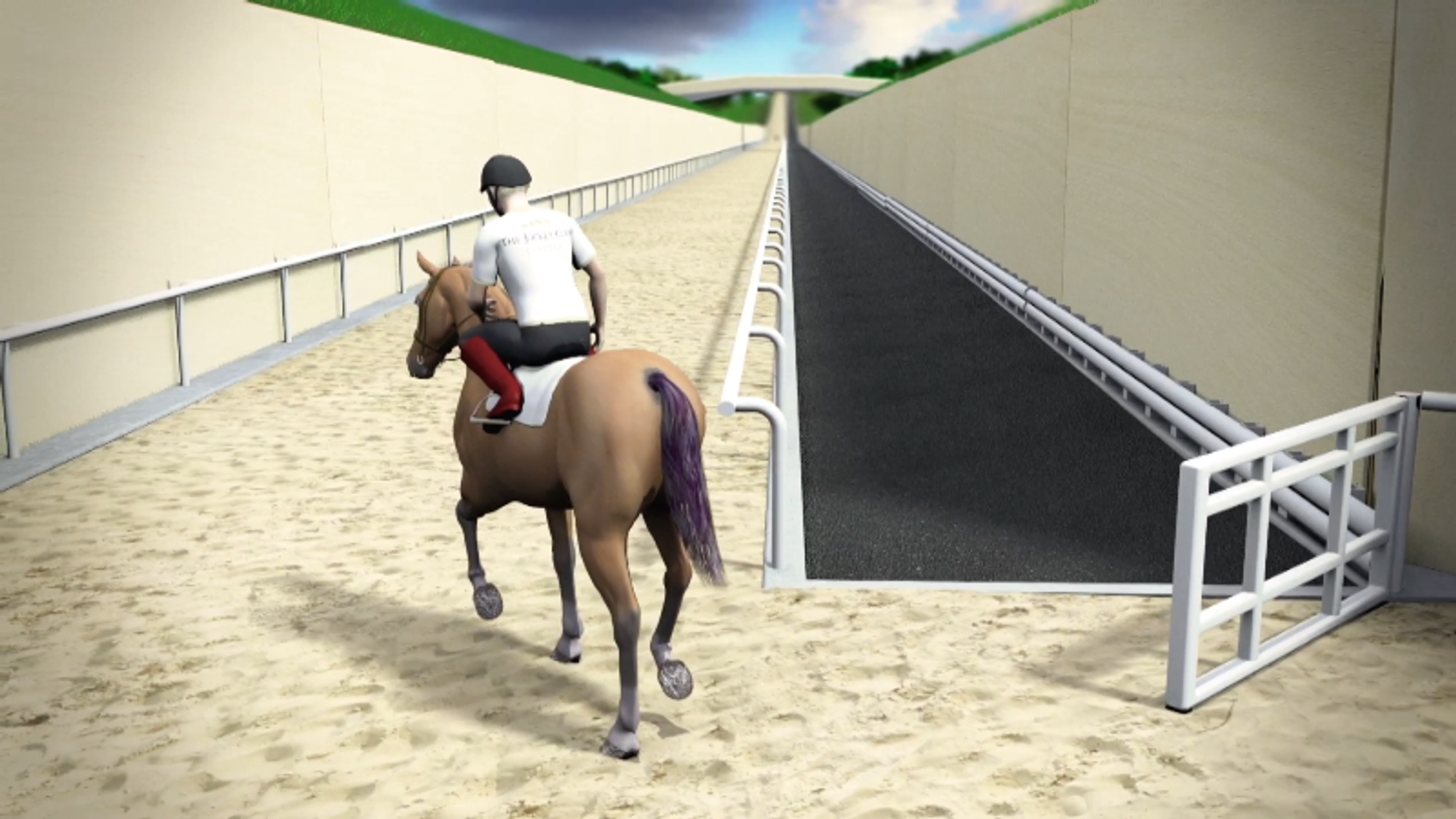 Uphill gallops plan at Newmarket | Racing News | Sky Sports