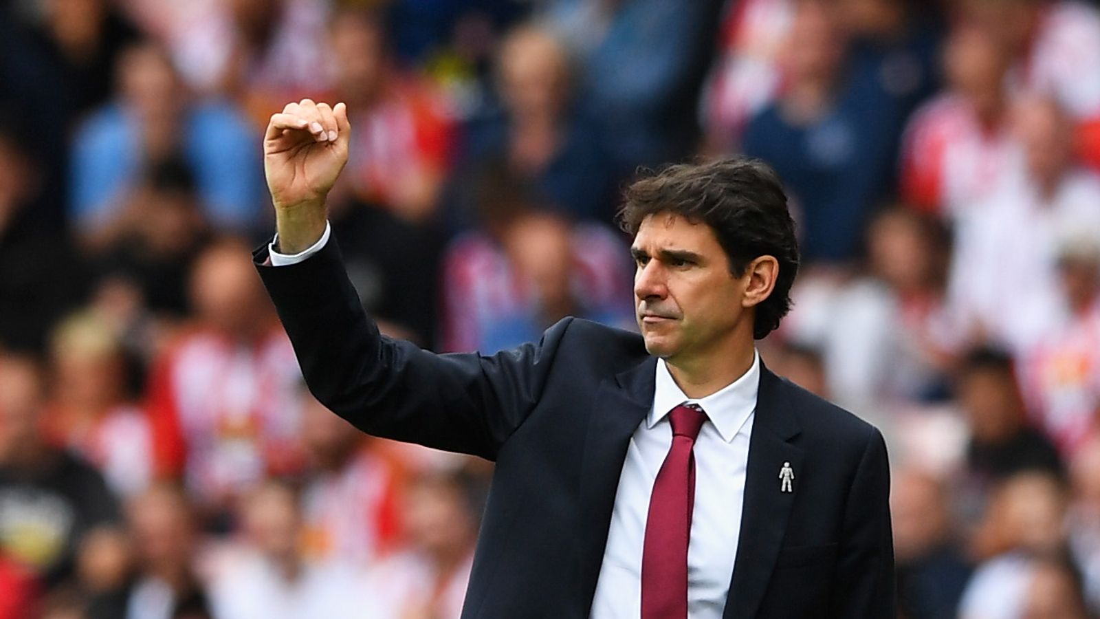 Aitor Karanka says Middlesbrough have improved since Everton defeat ...