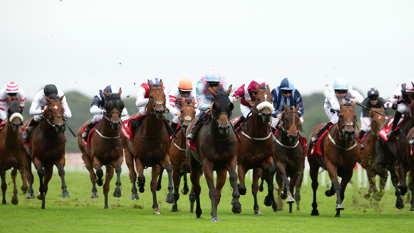 Captain Colby lifts the Portland Handicap for Ed Walker | Racing News ...