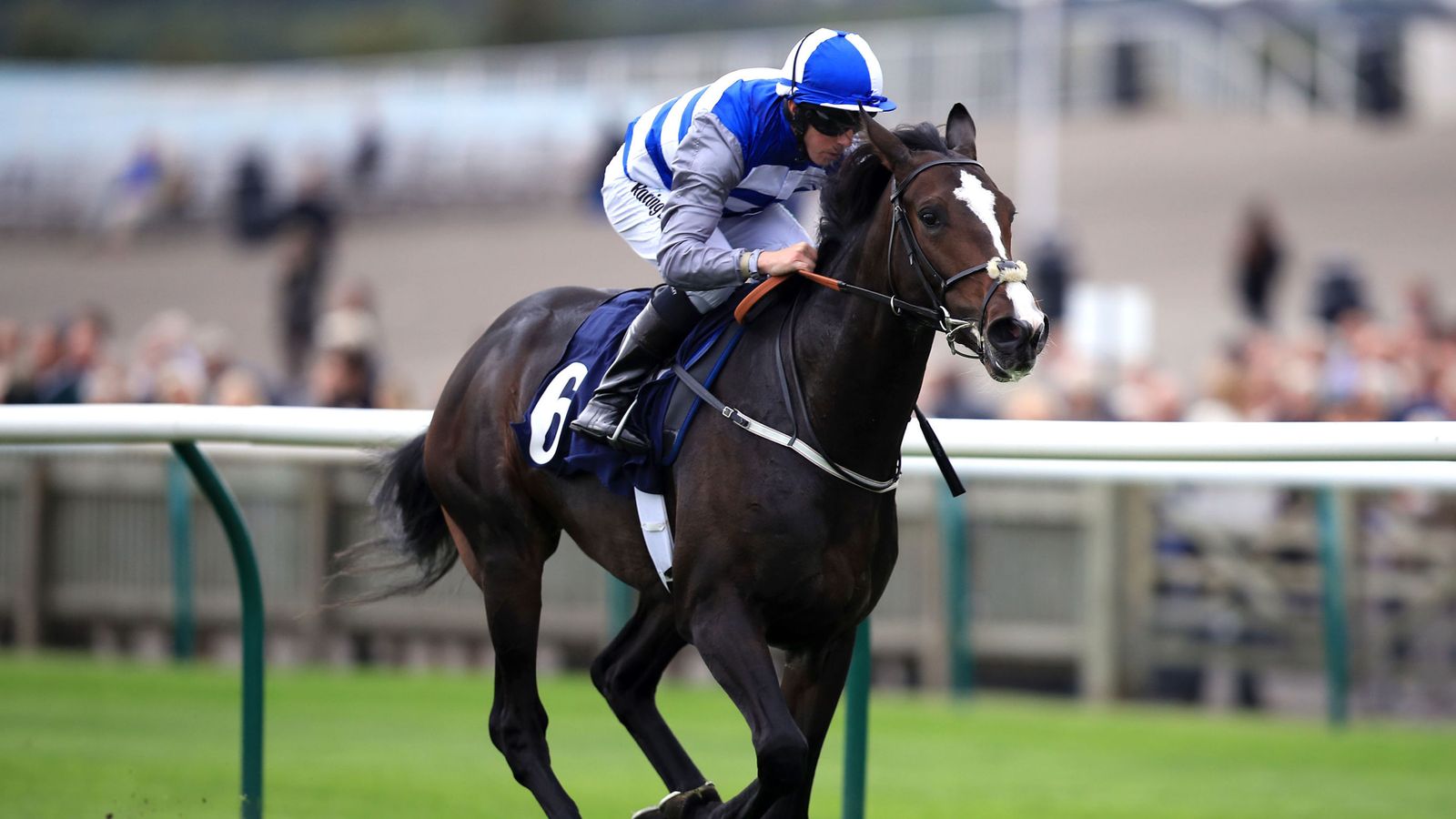 Review of the racing from Newmarket: Frankel colt Eminent quoted for ...