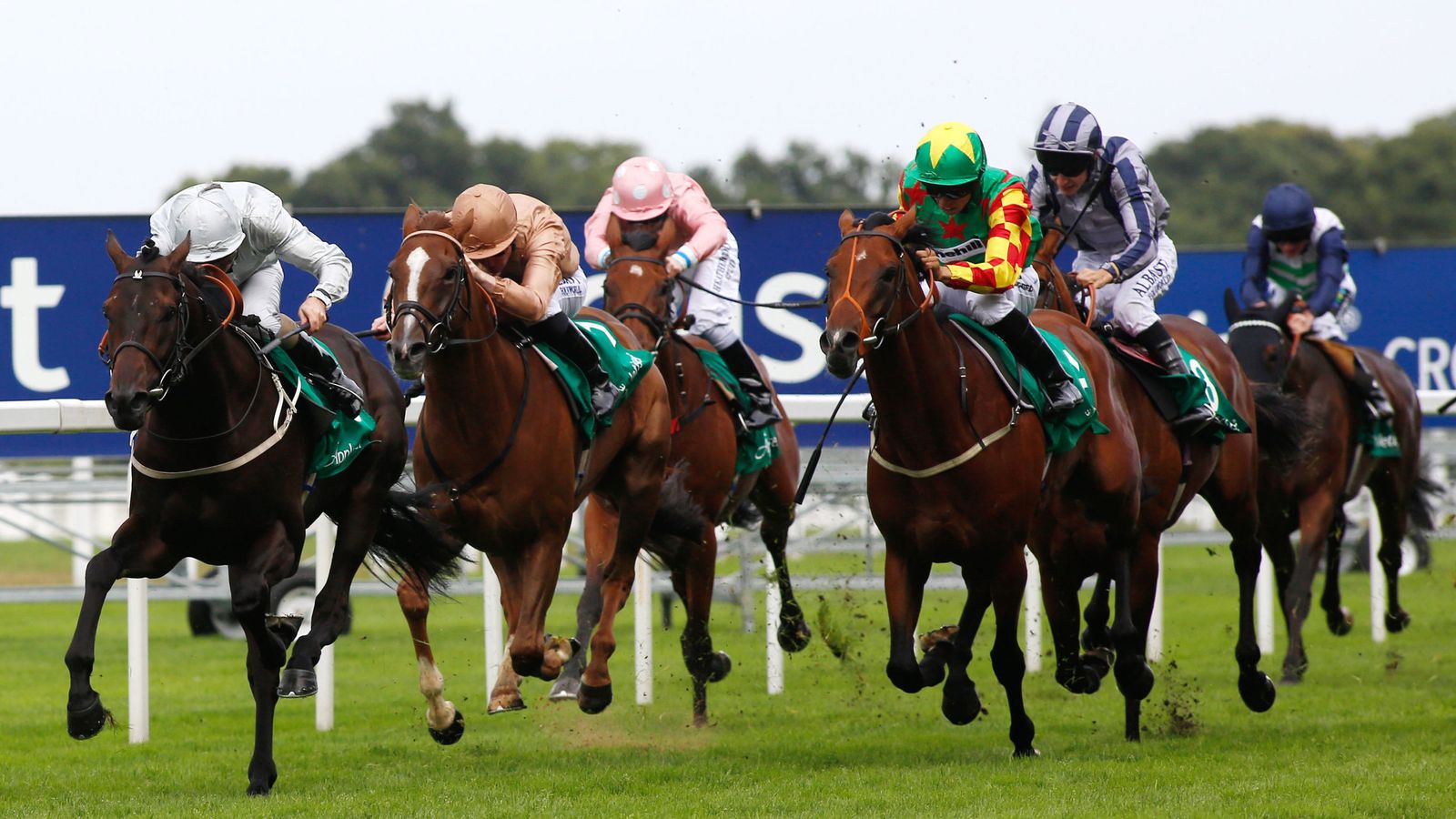Review of the racing from Ascot: New Caledonia shines for Mark Johnston ...