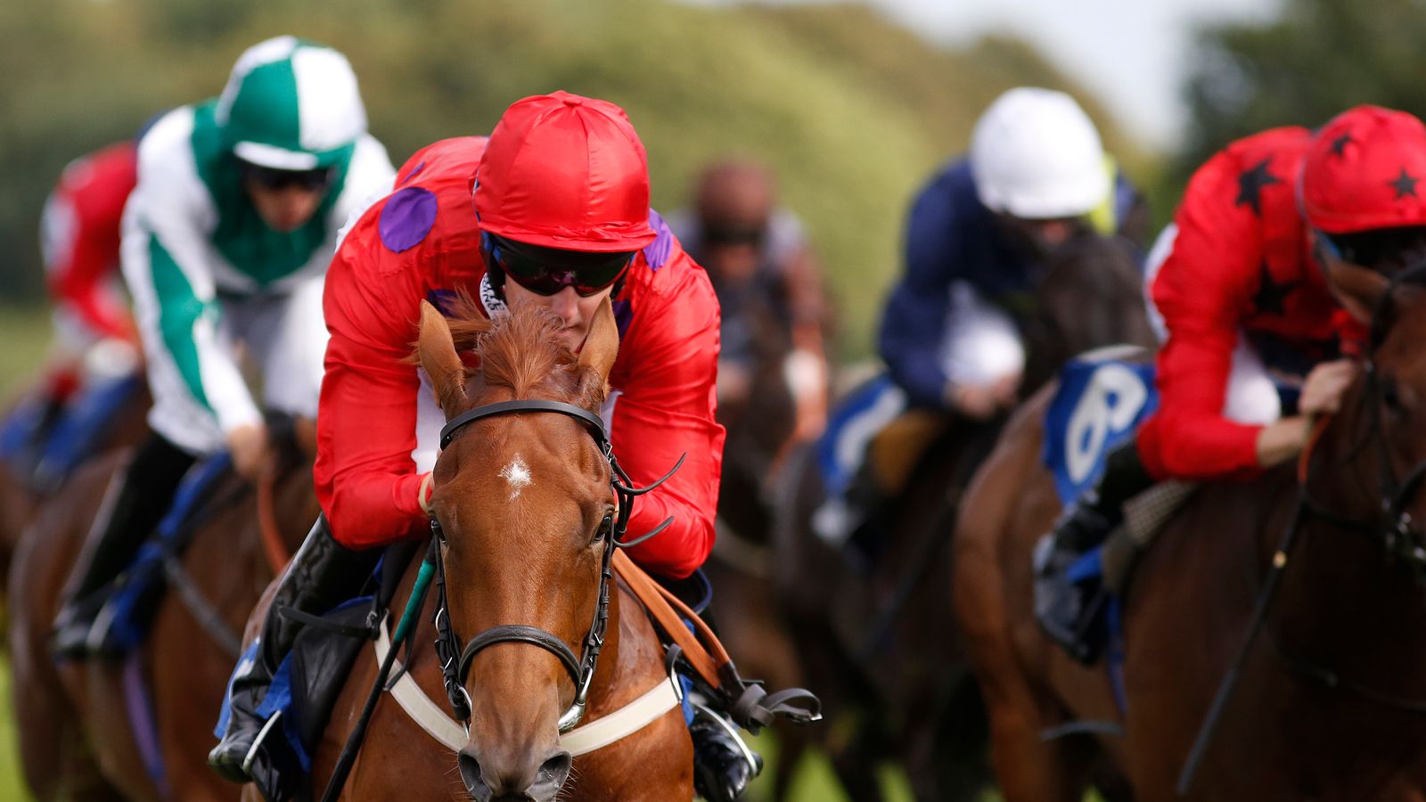 Joseph Tuite keen to 'cash in' with Madam Dancealot | Racing News | Sky ...